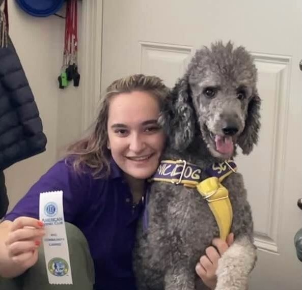 Rainbow Service Dogs